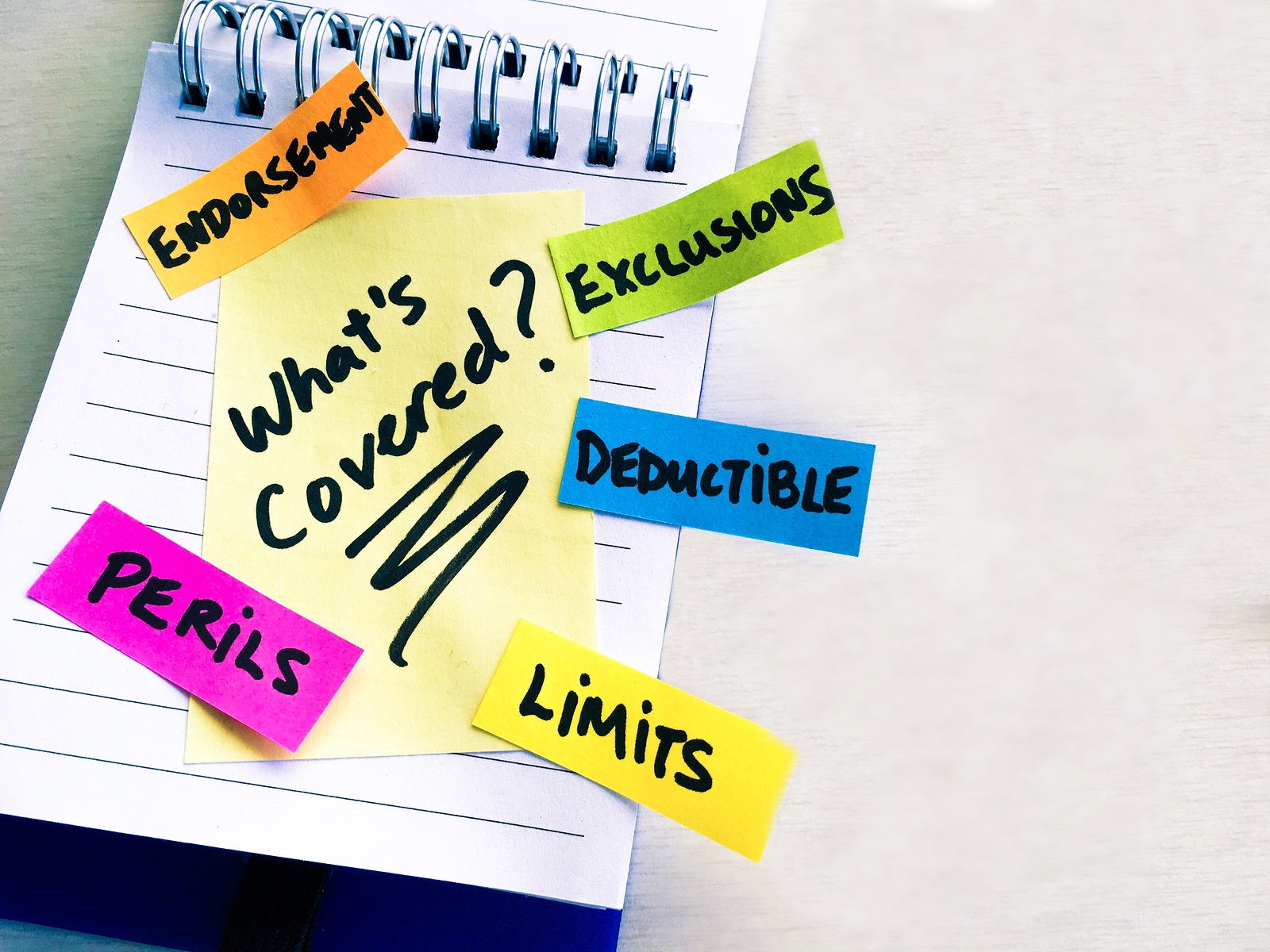 Expert Advice - Heather Cournoyer